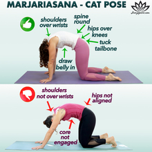 Cat Pose In Yoga – Marjariasana - Jivayogalive